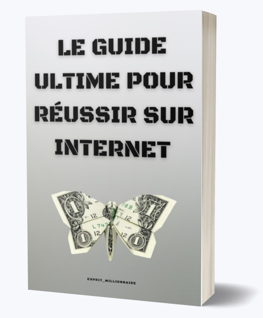 LE GUIDE ULTIME POUR REUSSIR SUR INTERNET
